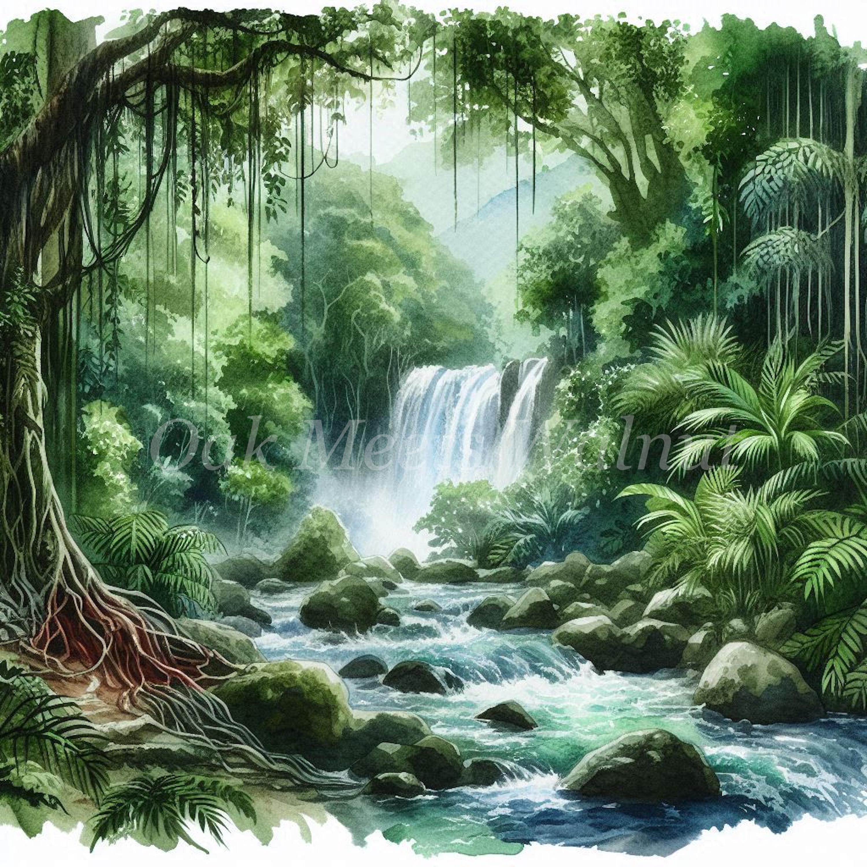 12 Rainforest Clipart Bundle- 10 High Quality Jpgs, Craft Art, Card ...