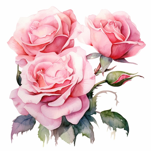 Pink Rose - Etsy