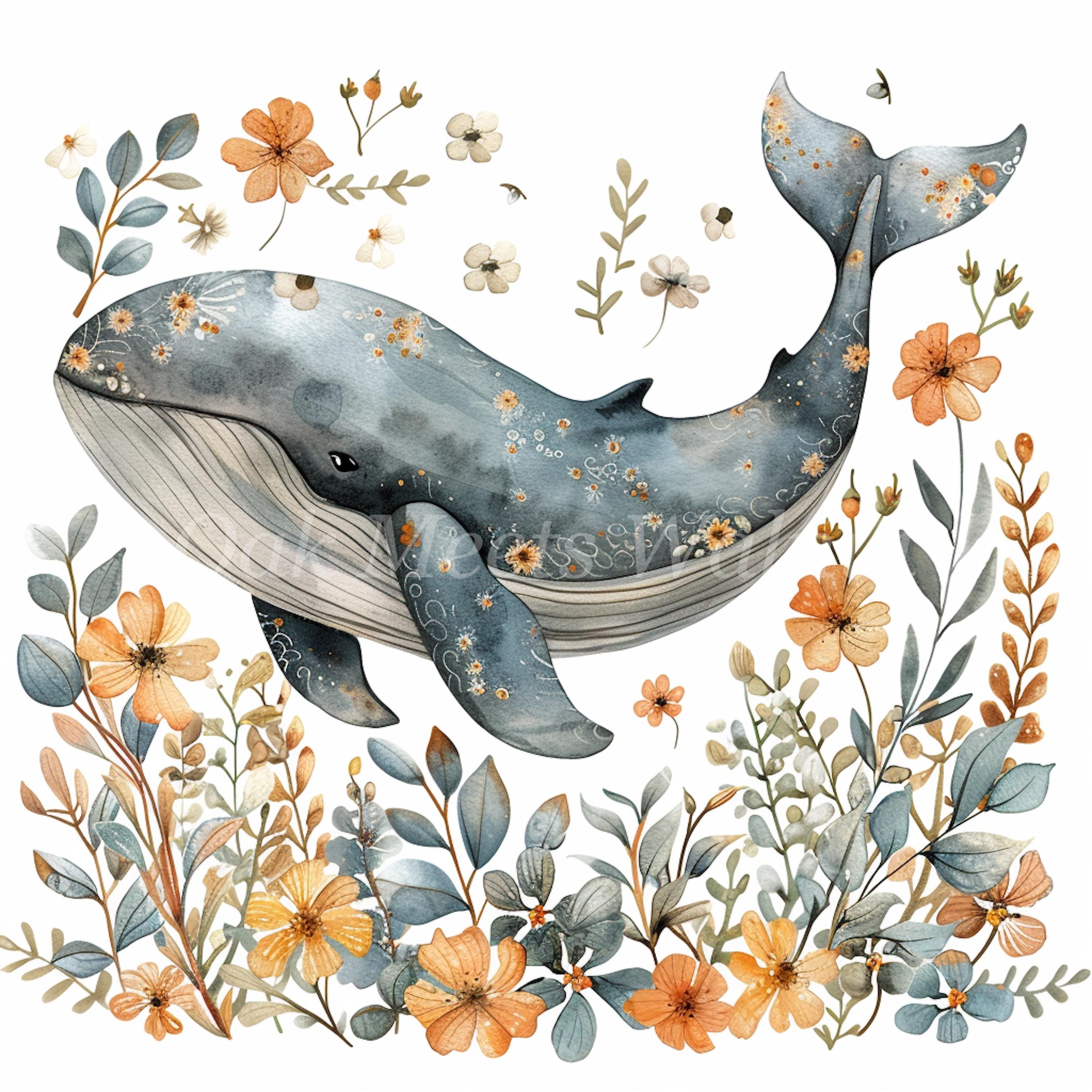 Floral Whale Watercolor Clipart Bundle (digital Download) - Etsy