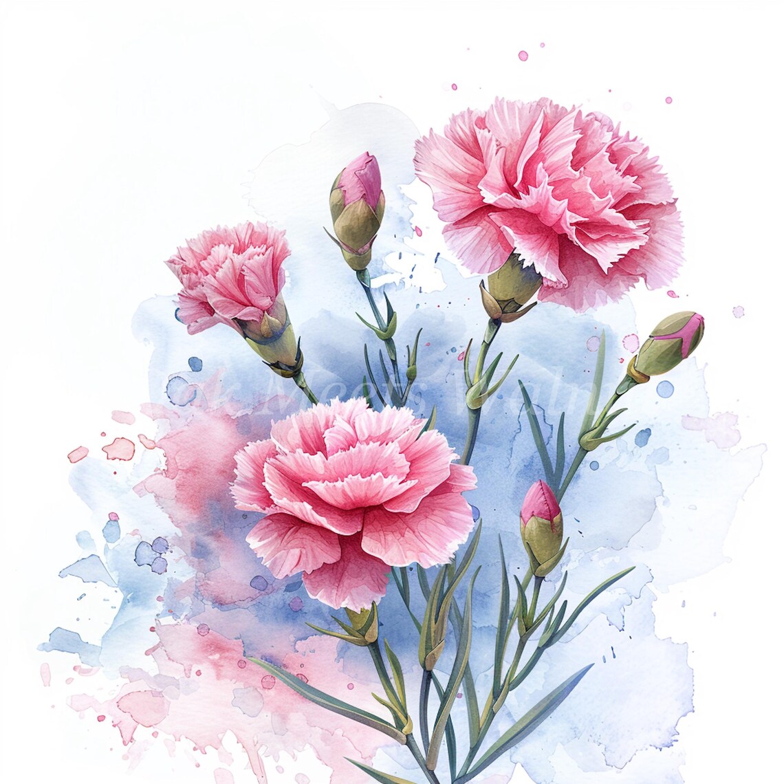 Pink Carnation Watercolor Clipart Bundle: Floral JPG Images (digital ...