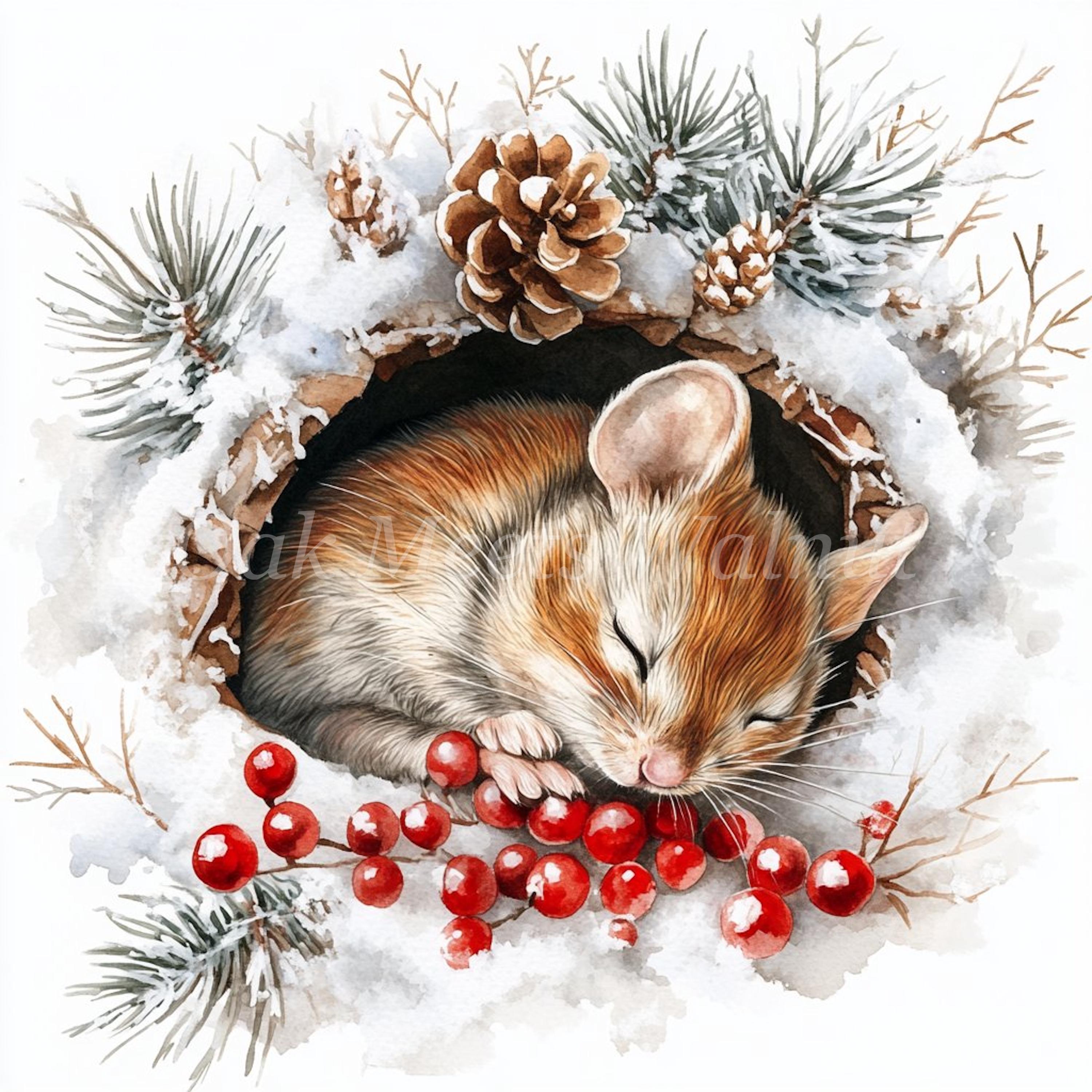 Sleeping Christmas Mouse Watercolor Clipart: Holiday Jpgs (digital ...