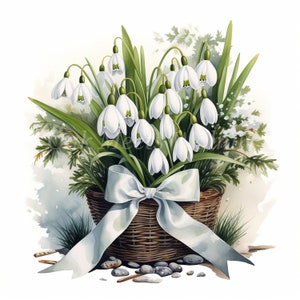 Snowdrop Basket Clipart: Watercolor Floral JPG Bundle (digital Download ...