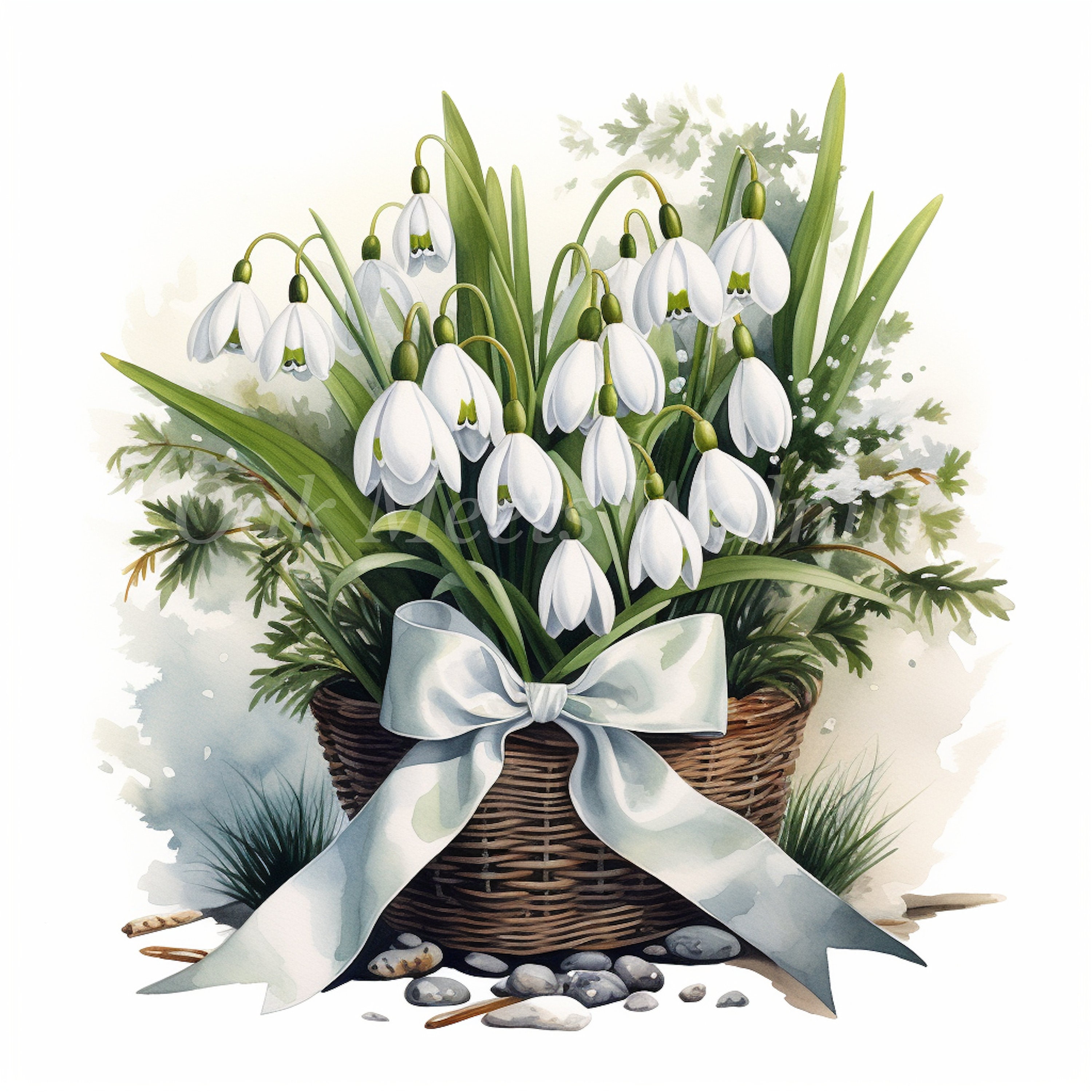 Snowdrop Basket Clipart: Watercolor Floral JPG Bundle (digital Download ...