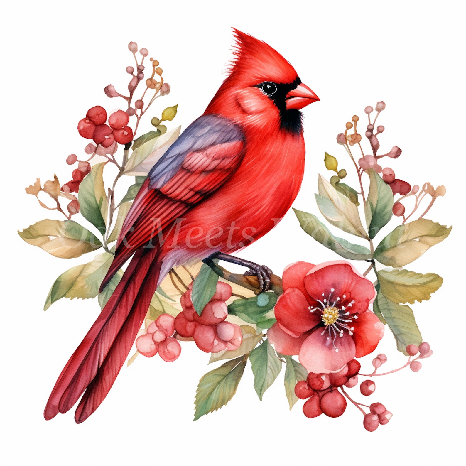 Red Cardinal Clipart Bundle- 10 High Quality Watercolor Jpgs, Flower ...