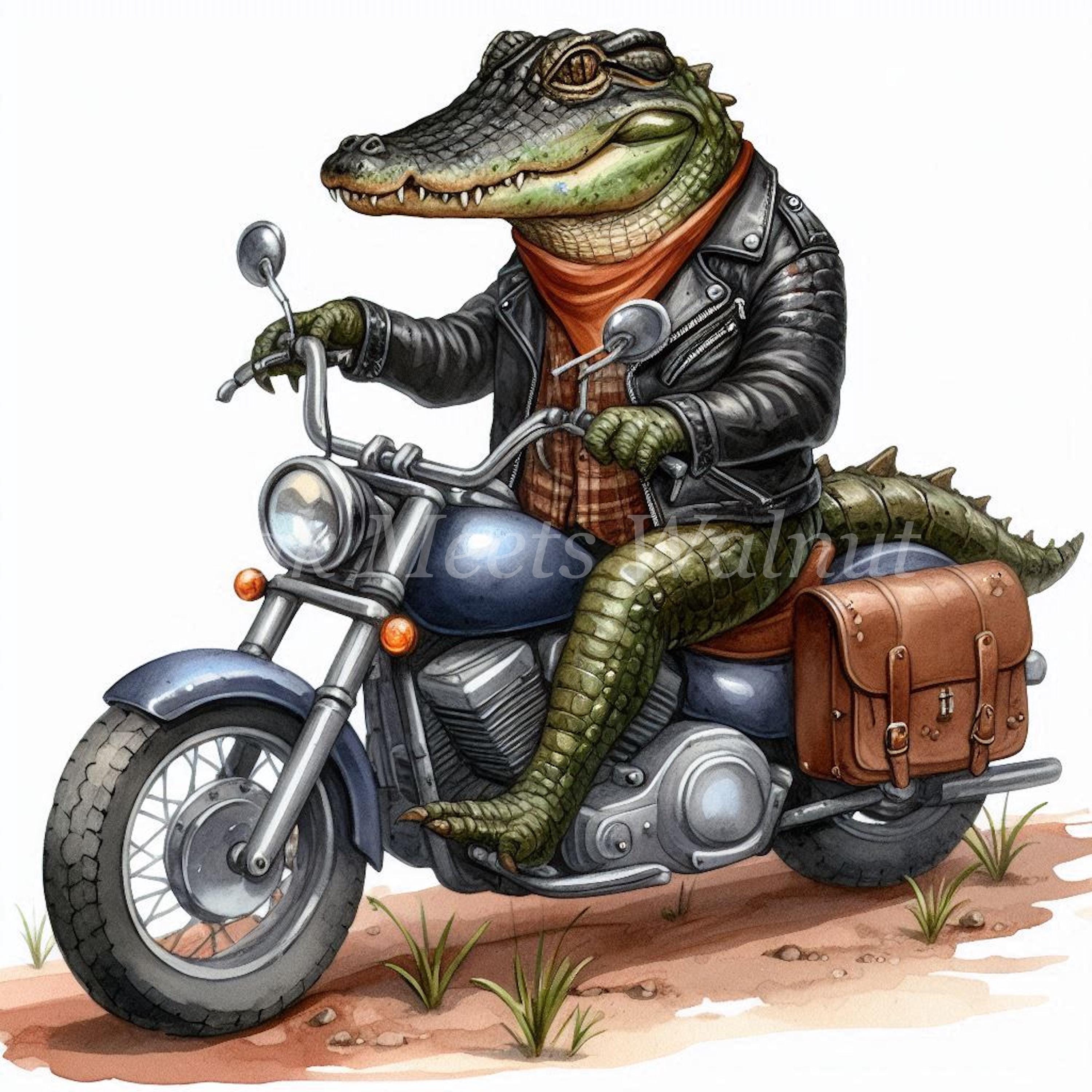 Alligator on Motorcycle Clipart: Watercolor Animal Biker Art (digital ...