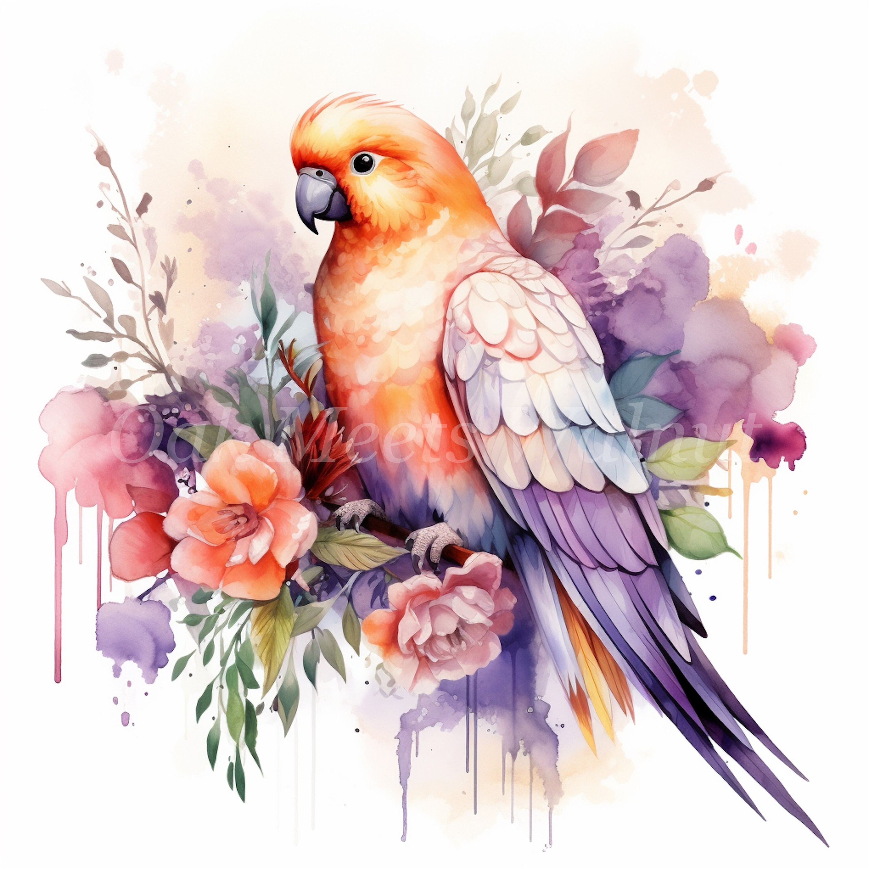 Watercolor Floral Parrot Clipart – Printable Bird Images (digital ...