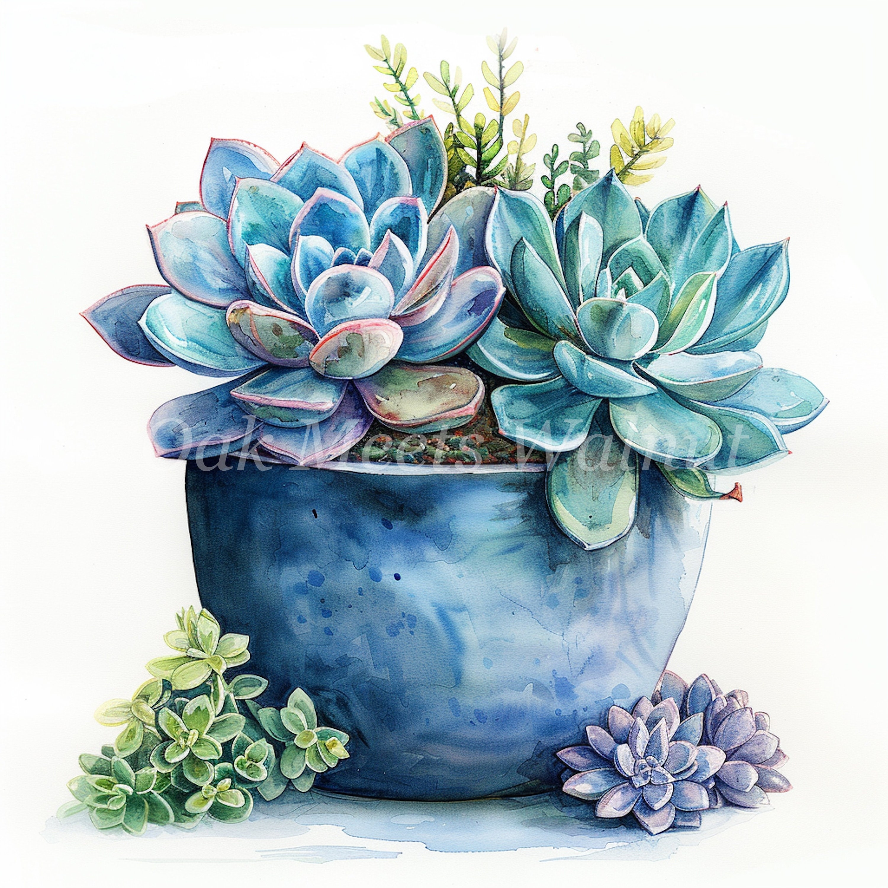 Succulents in a Pot Clipart Bundle 10 High Quality Watercolor Jpgs ...