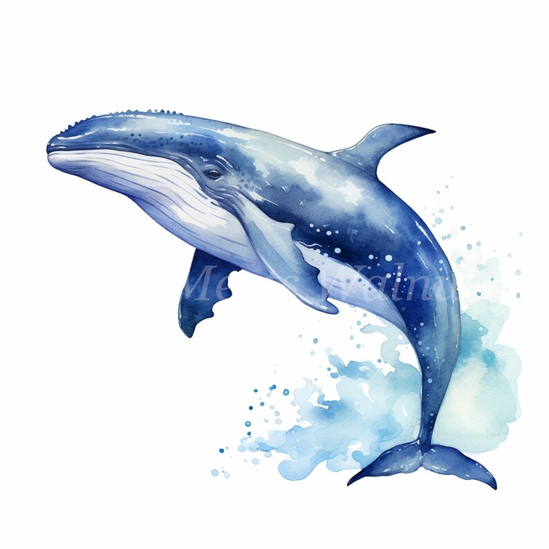 Blue Whale in Sea Clipart Bundle- 10 High Quality Watercolor Jpgs ...