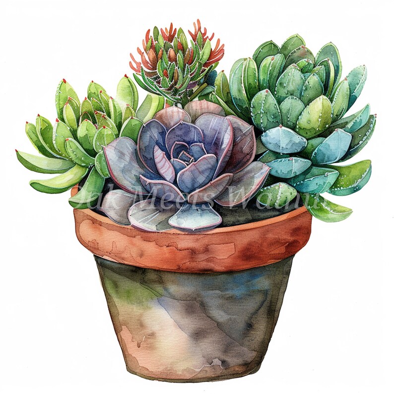 Watercolor Succulent Clipart Bundle: Printable Plant Images (digital ...