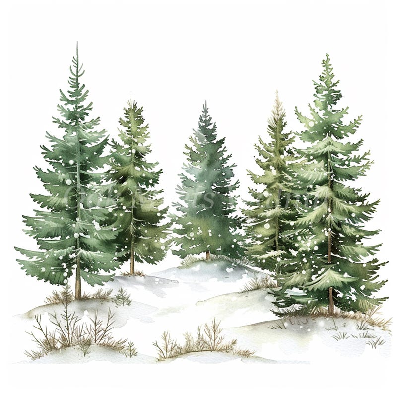 Watercolor Christmas Pine Trees Clipart Bundle (digital Download) - Etsy