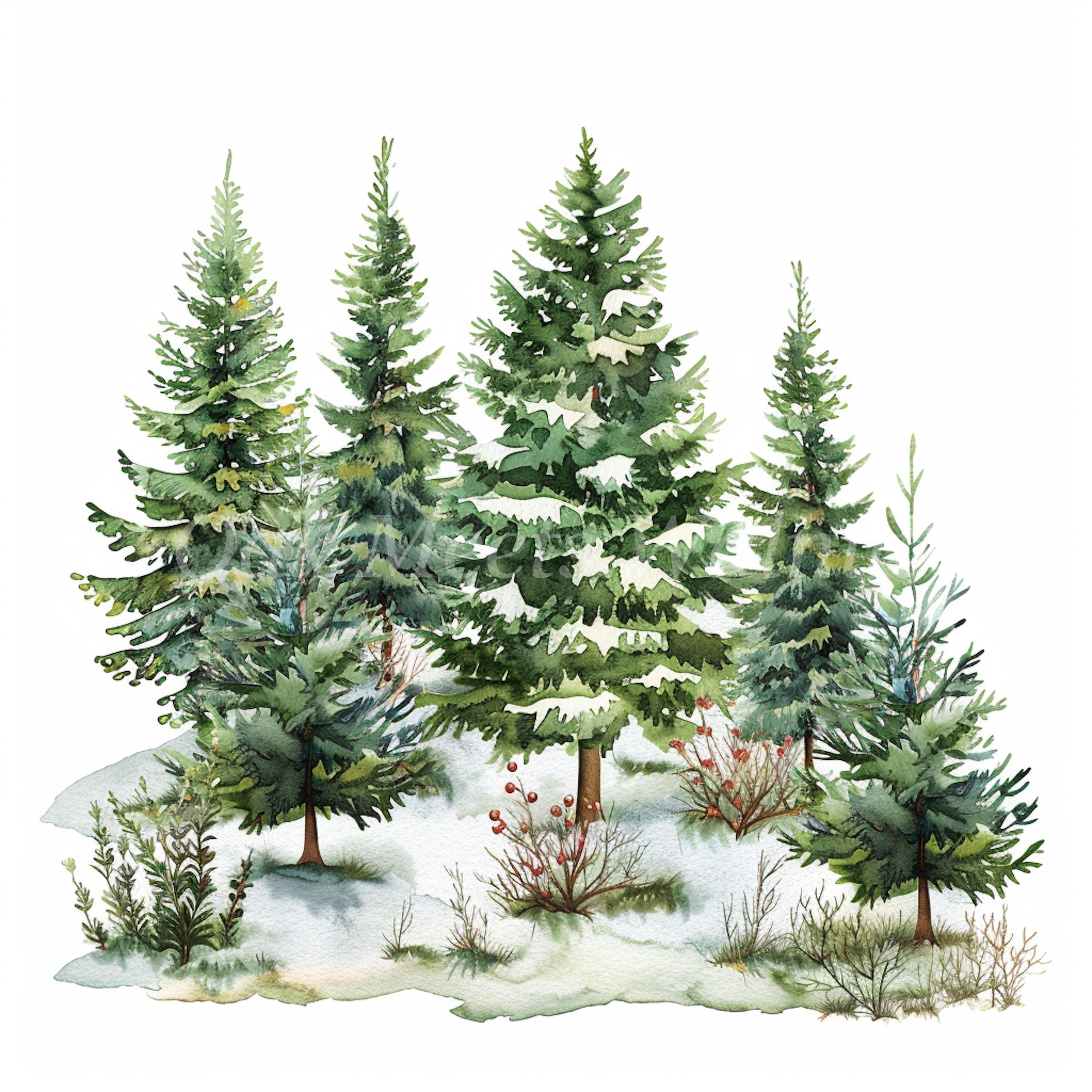 Christmas Pine Trees Clipart Bundle- 10 High Quality Watercolor Jpgs ...