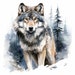 Winter Wolf Watercolor Clipart Bundle: High-resolution Jpgs (digital ...