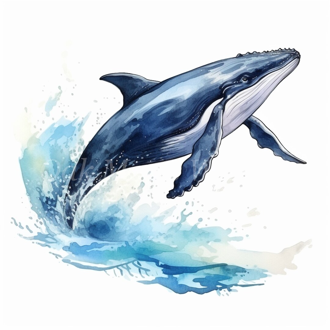 Blue Whale in Sea Clipart Bundle- 10 High Quality Watercolor Jpgs ...