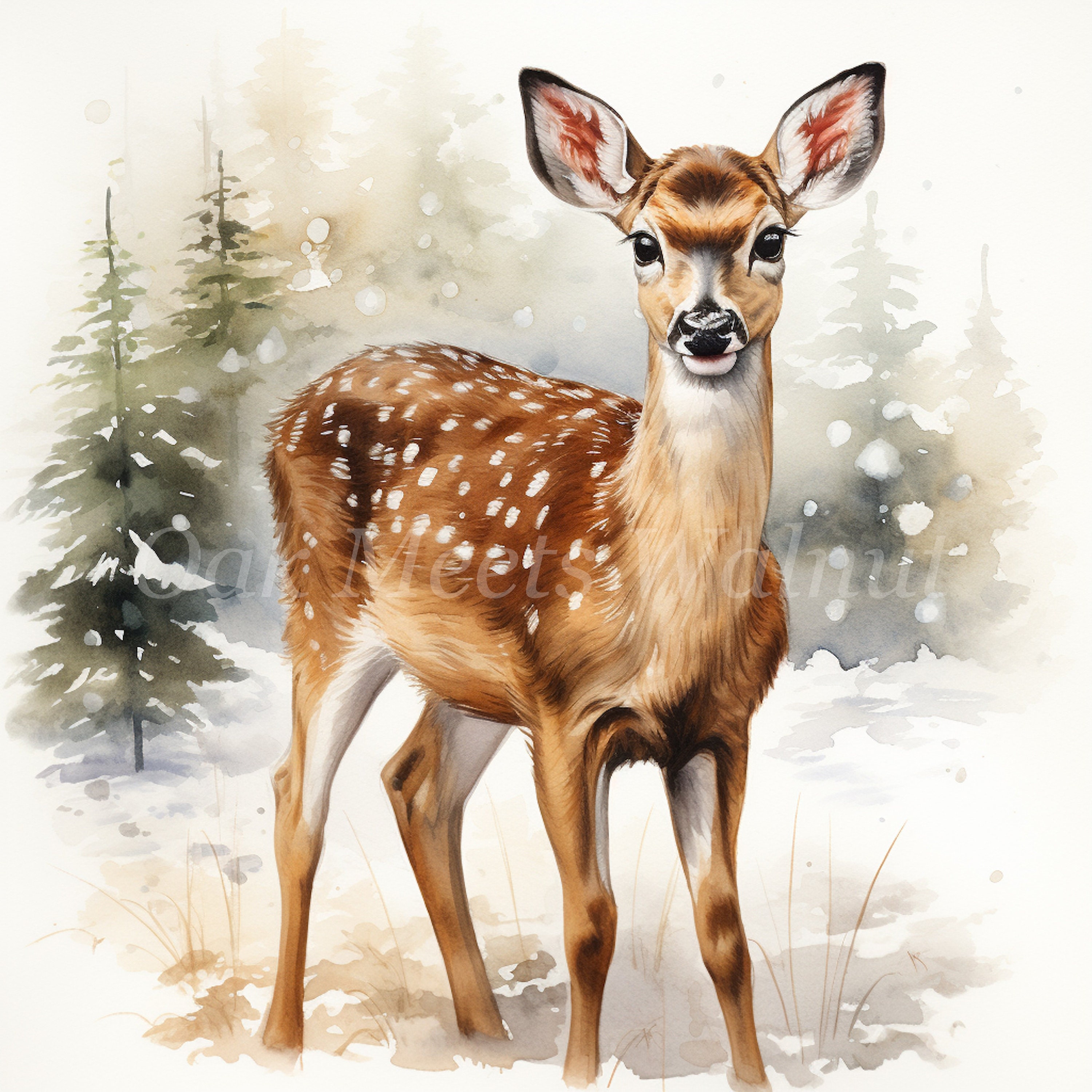 Watercolor Christmas Deer Clipart: Reindeer & Elk Illustrations ...