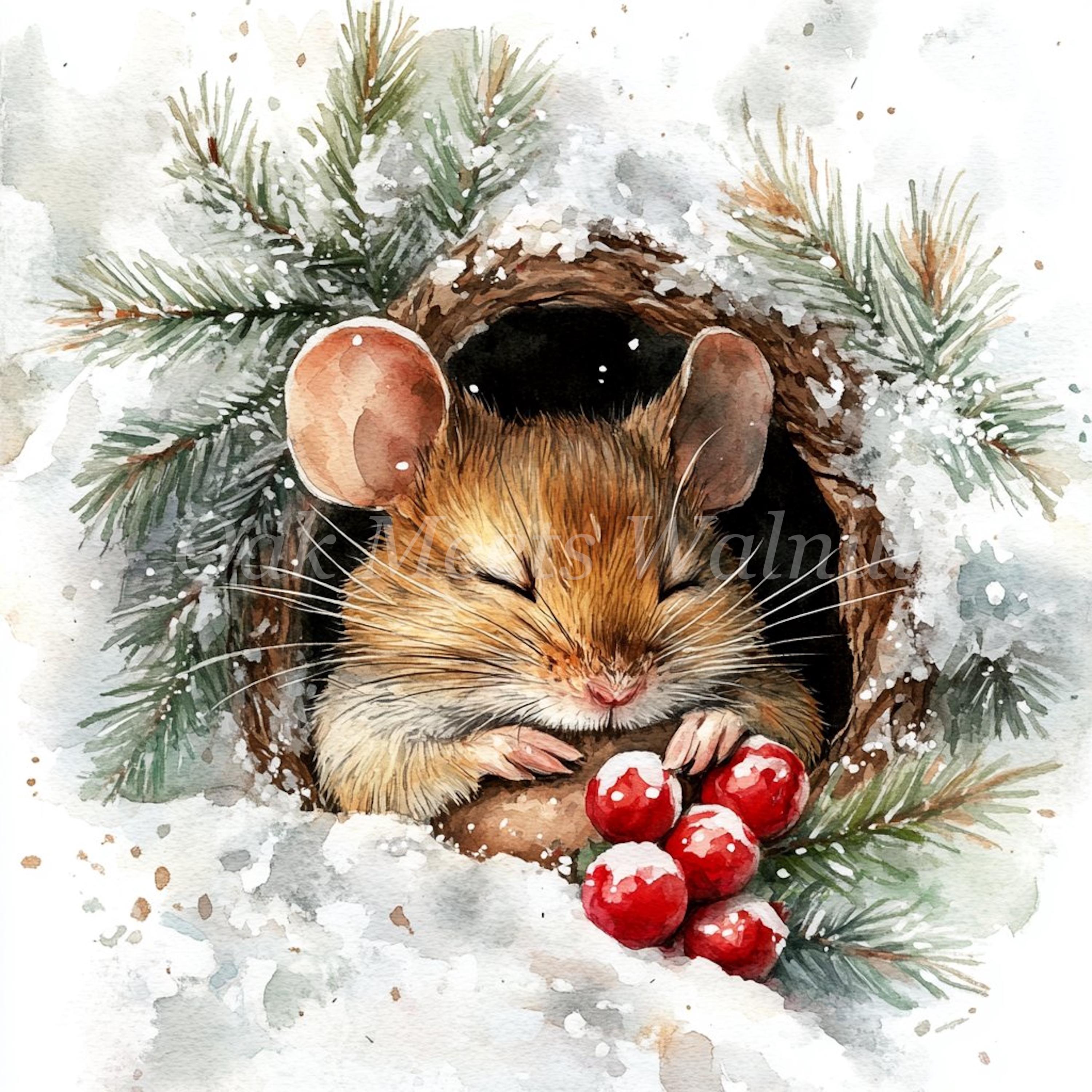 Sleeping Christmas Mouse Watercolor Clipart: Holiday Jpgs (digital ...