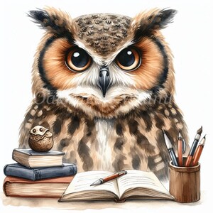 16 Studious Owl Clipart Bundle- High Quality Jpgs, Craft Art, Card ...