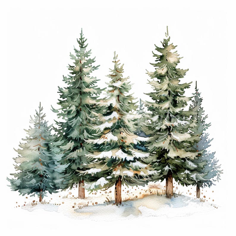 Watercolor Christmas Pine Trees Clipart Bundle (digital Download) - Etsy