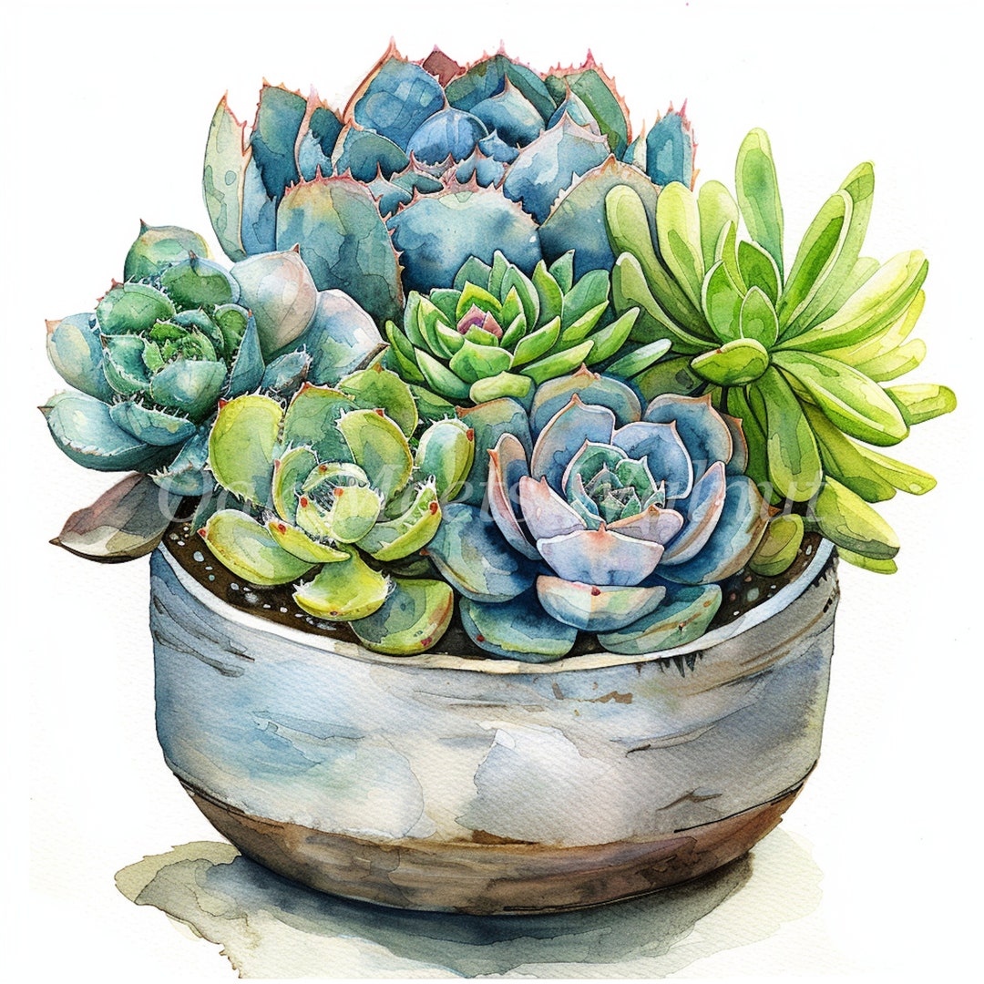 Succulents in a Pot Clipart Bundle- 10 High Quality Watercolor Jpgs ...