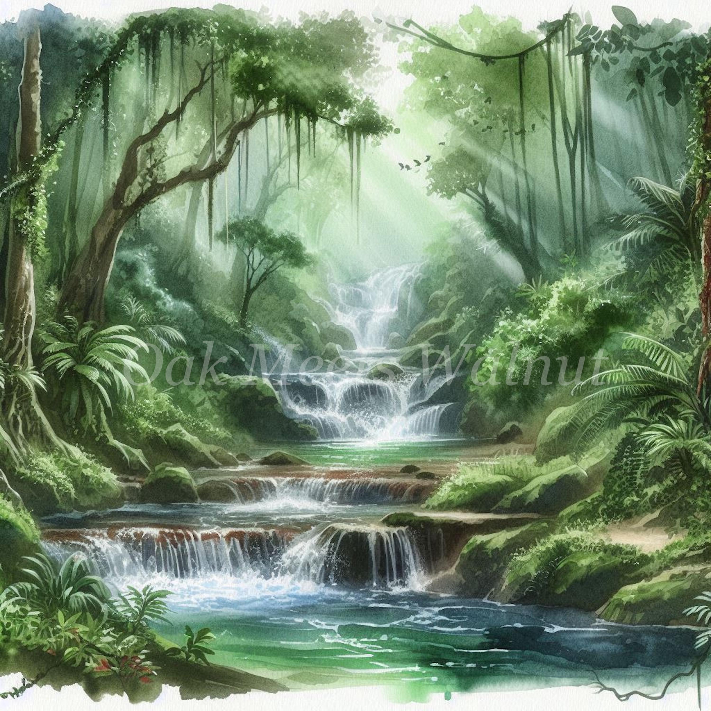 12 Rainforest Clipart Bundle- 10 High Quality Jpgs, Craft Art, Card ...