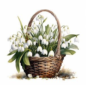 Snowdrop Basket Clipart: Watercolor Floral JPG Bundle (digital Download ...