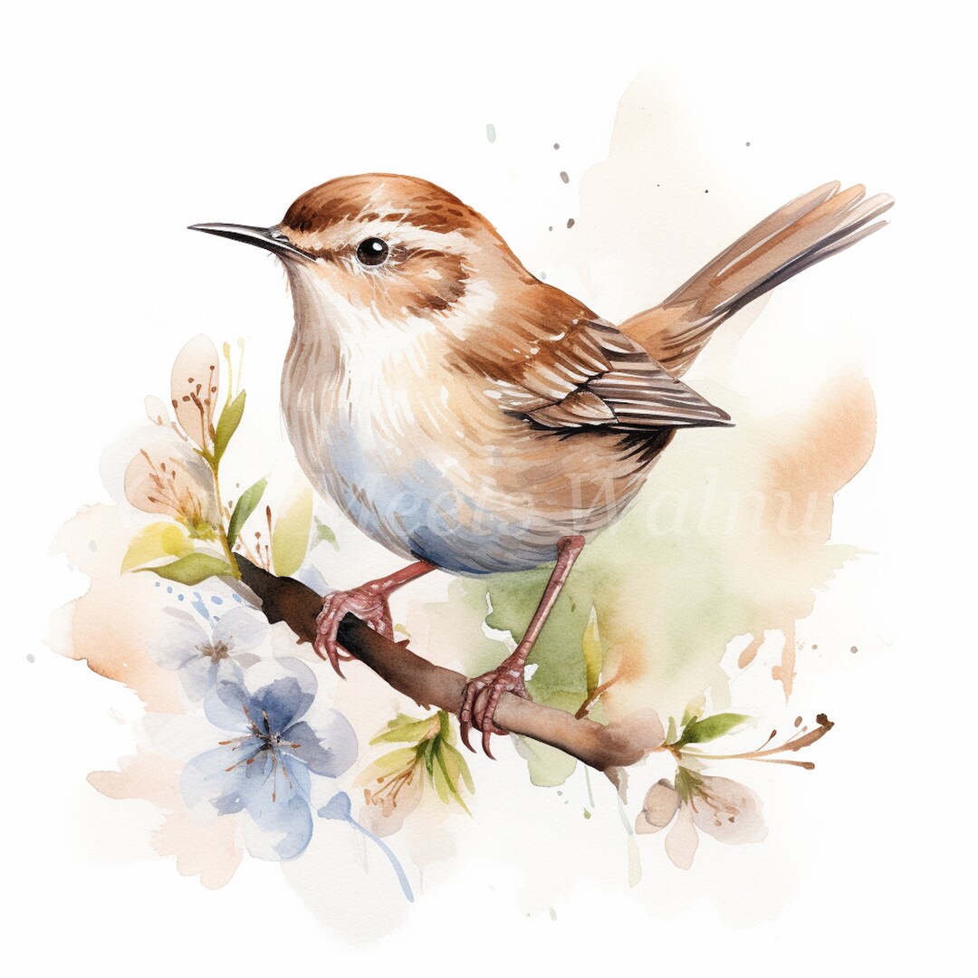 Wren Clipart Bundle- 10 High Quality Watercolor Jpgs, Mixed Media, Bird ...