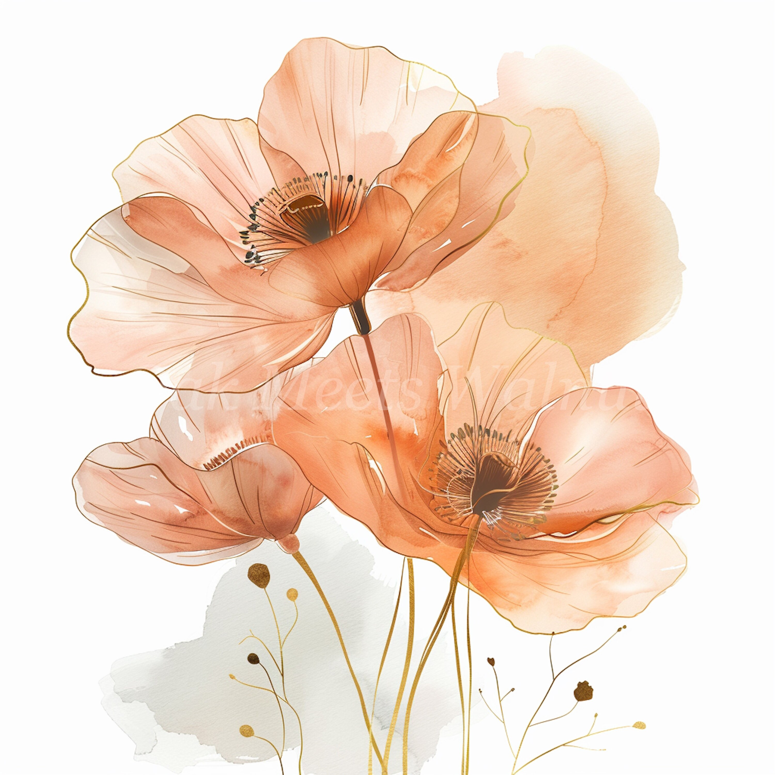 Watercolor Peach Flowers Clipart: Abstract Floral Graphics (digital ...