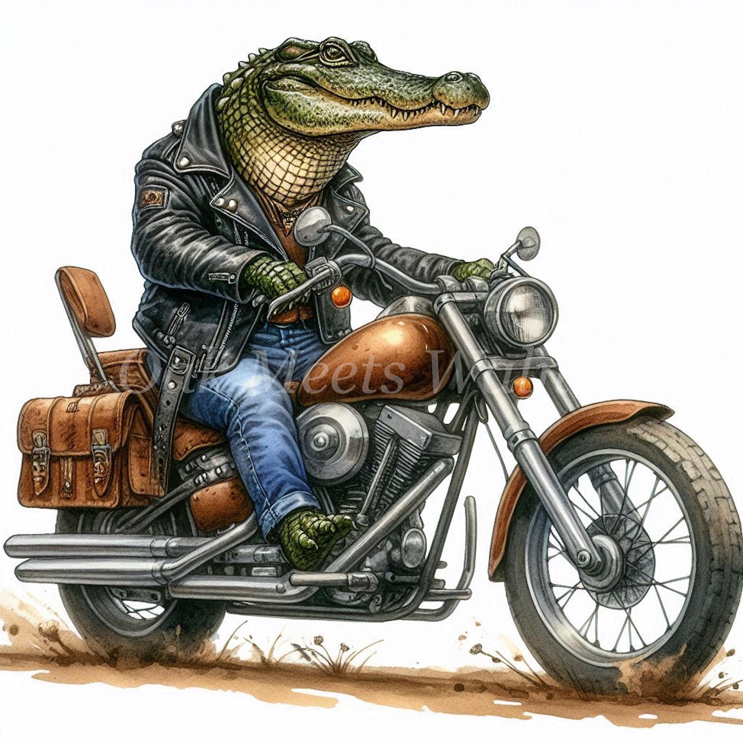 Alligator on Motorcycle Clipart: Watercolor Animal Biker Art (digital ...