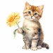 Kitten With Flowers Clipart Bundle 10 High Quality Watercolor Jpgs ...