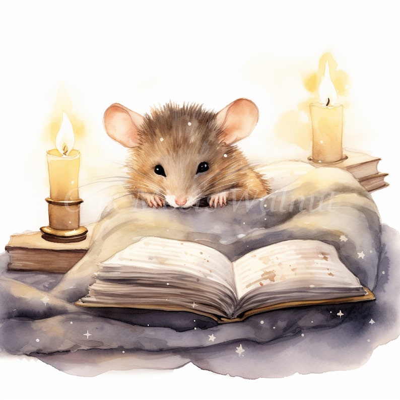 Mouse Reading Book Clipart Bundle: Animal Graphics (digital Download ...