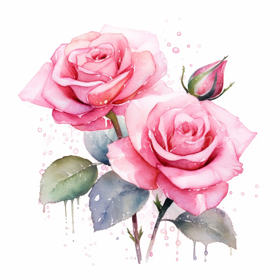 Pink Roses Watercolor Clipart Bundle: Scrapbook Graphics (digital ...