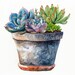 Watercolor Succulent Clipart Bundle: Printable Plant Images (digital ...