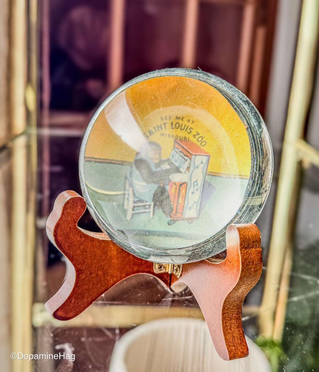 Vintage Glass Dome Souvenir Paperweight From the St. Louis Zoo Feat ...