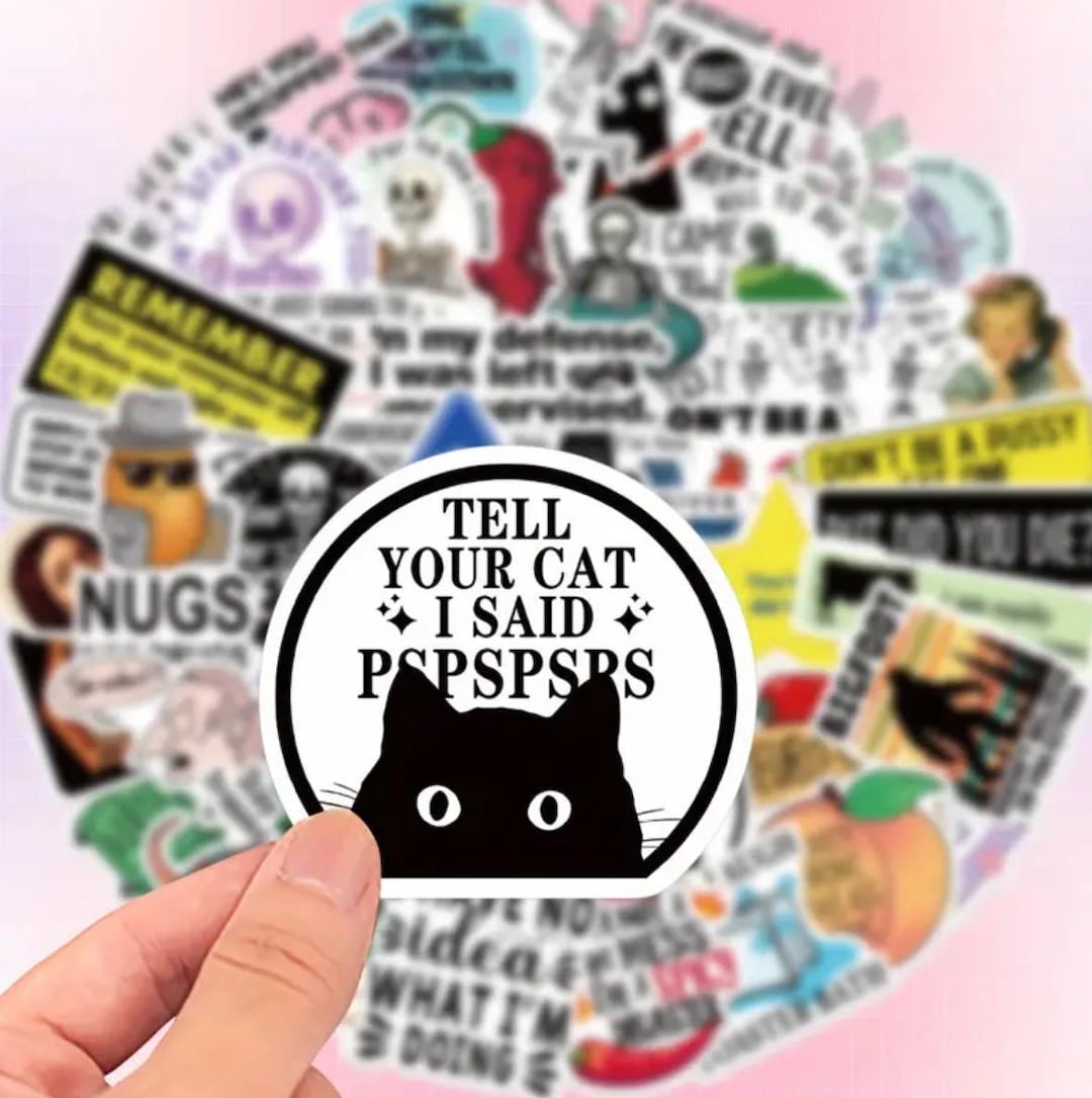 Snarky Meme Vinyl Sticker Set: Funny Laptop Decals (15pcs) - Etsy