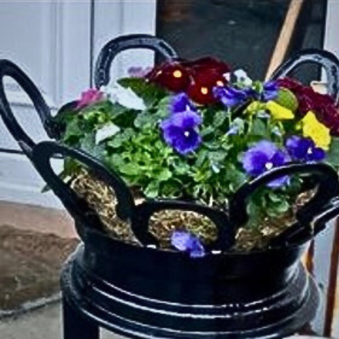 Handmade Horseshoe Plant Stand Unique Handmade Gift Rustic Indoor ...