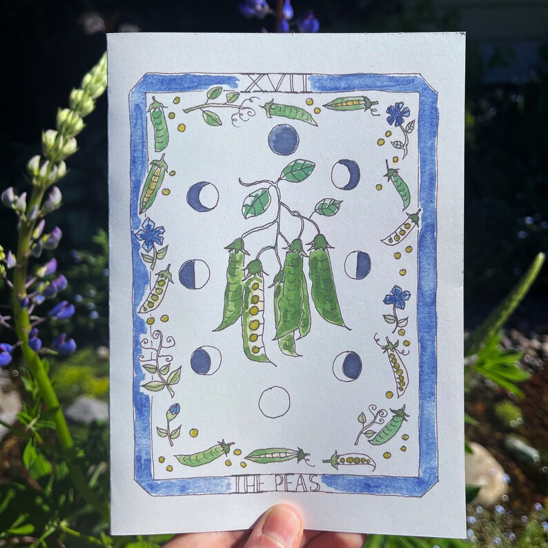 Vegetable Tarot Inspired Watercolor Cards / Vegetable Print Posters ...