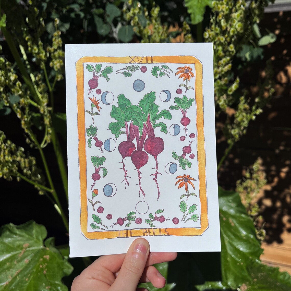 Vegetable Tarot Inspired Watercolor Cards / Vegetable Print Posters ...
