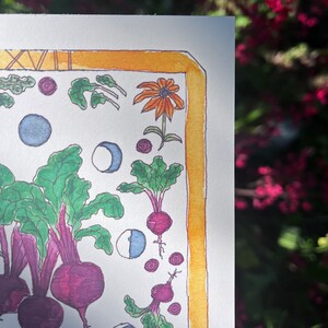 Vegetable Tarot Inspired Watercolor Cards / Vegetable Print Posters ...