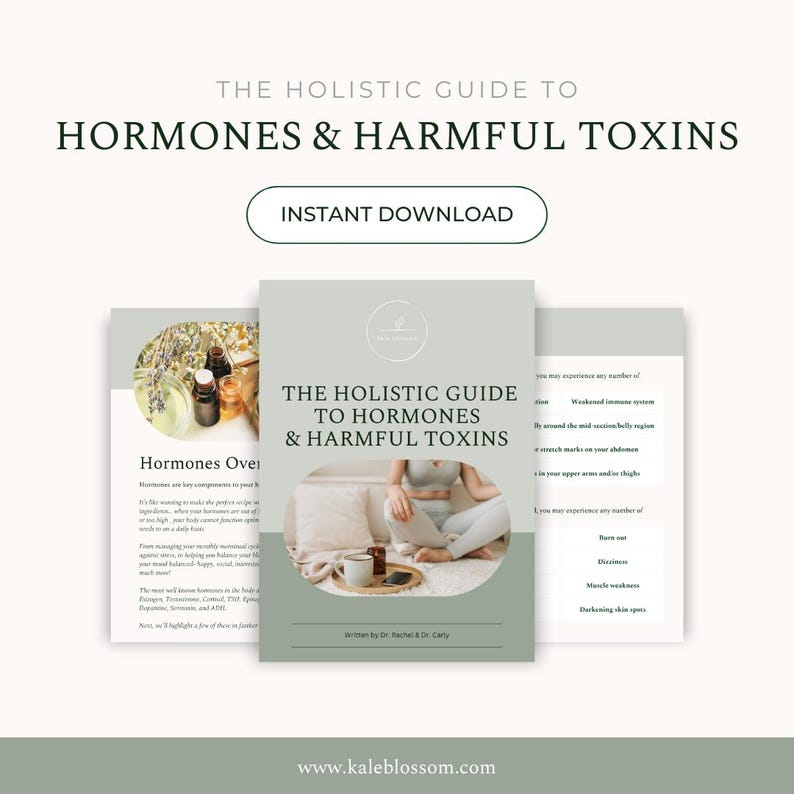 Hormones and Harmful Toxins: A Holistic Guide - Etsy Canada