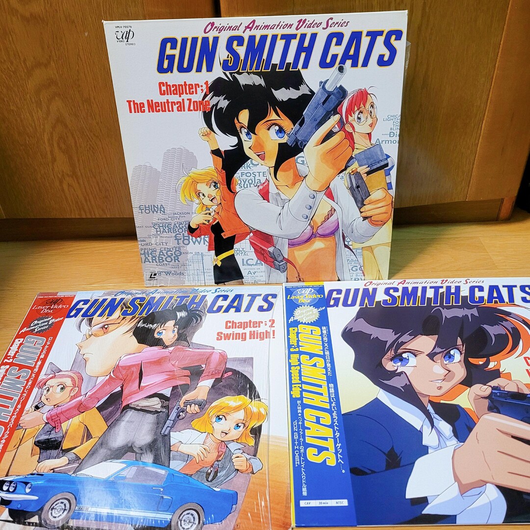 Gun Smith Cats Laserdisc Laser Disc Insert Vintage Combine Ship Ok - Etsy