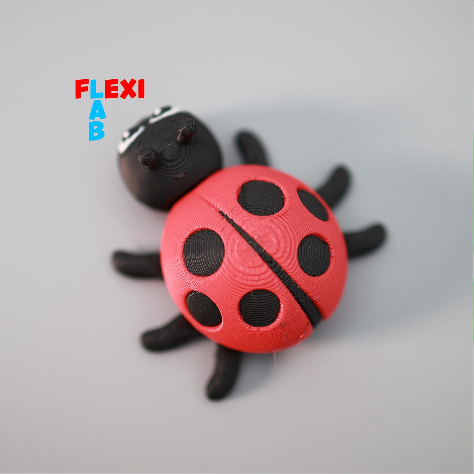 Flexi Ladybug on a Clover Leaf STL File - Art Toy for 3D Printers - Etsy