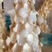 12 Inch Abalone Shell Tree. - Etsy