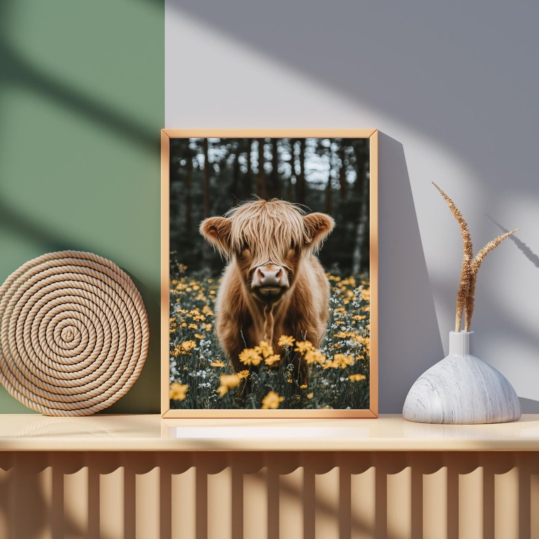 Highland Cow Photography Print Cute Fuzzy Calf in Floral Meadow ...