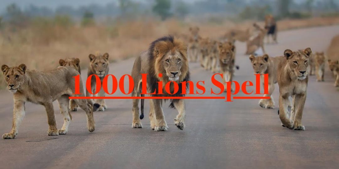 1000 Lions Spell - Etsy