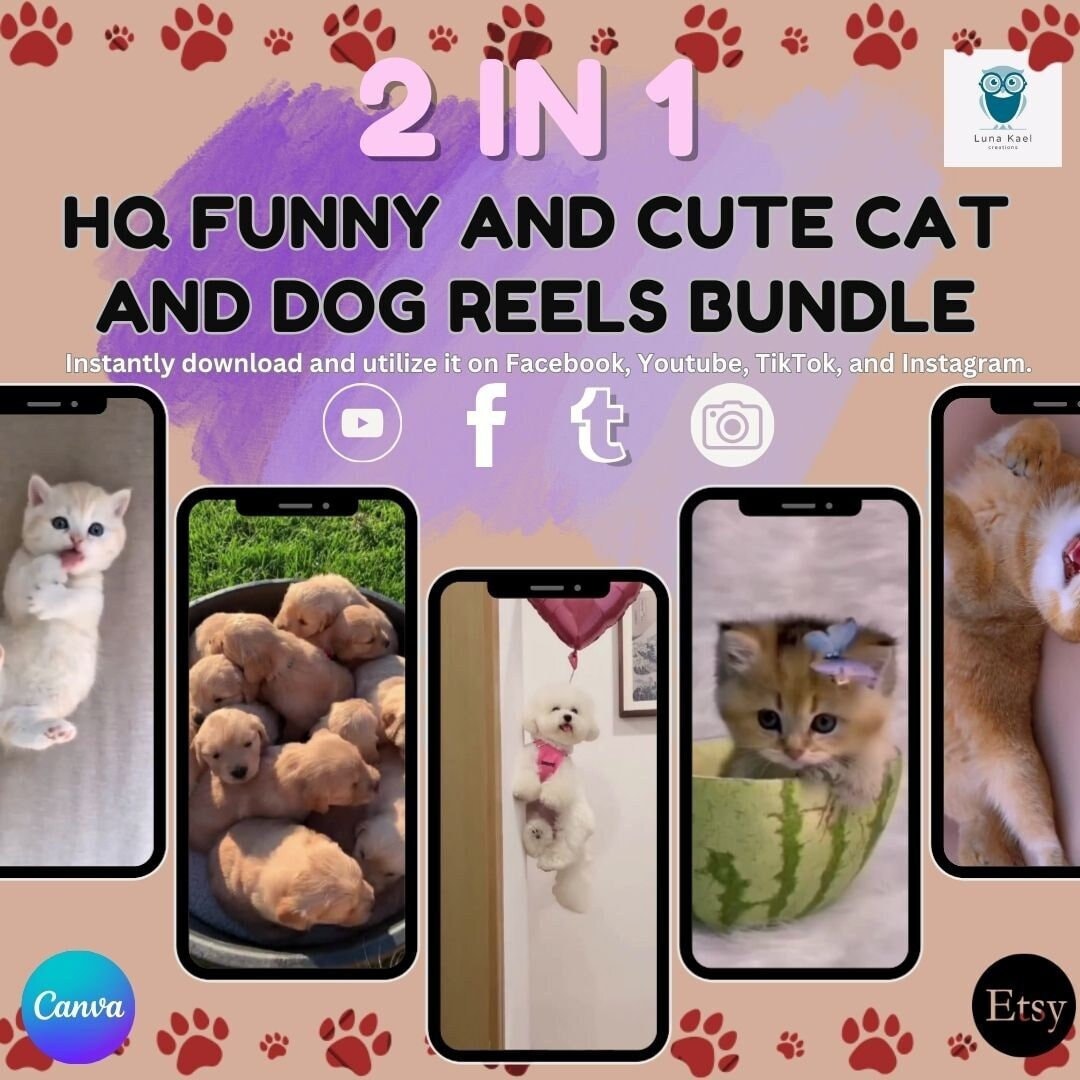 2 in 1 Cat and Dog Reels Bundle 4,332 Video Reels Social Media ...