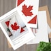 Canadian Flag C2C Crochet Digital Pattern – Maple Leaf Blanket Design ...