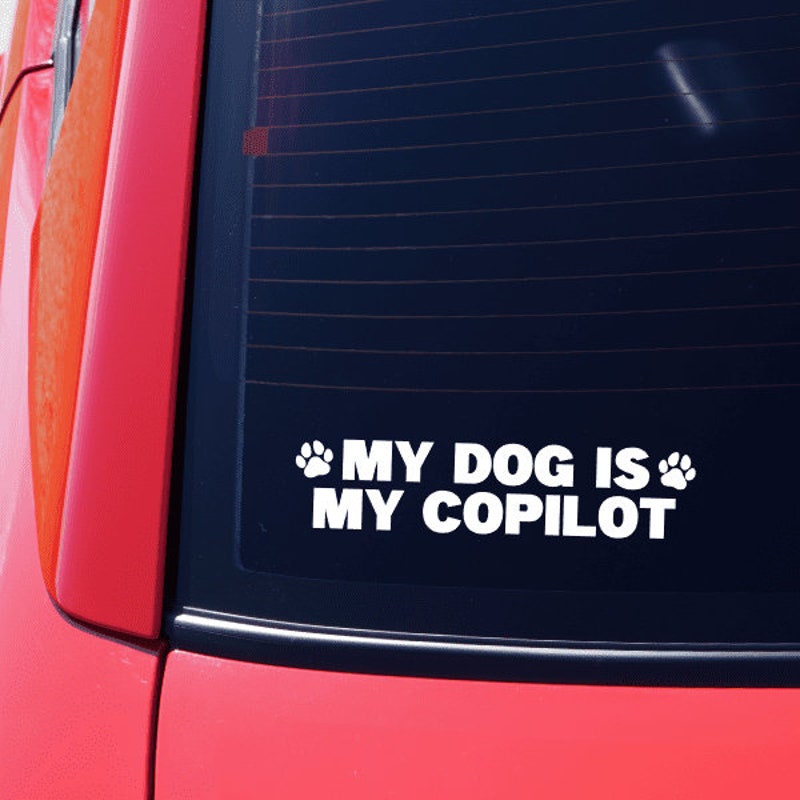 My Dog is My Copilot - Etsy