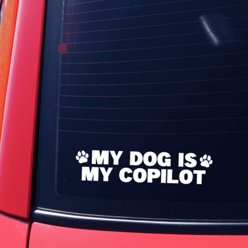 My Dog is My Copilot - Etsy