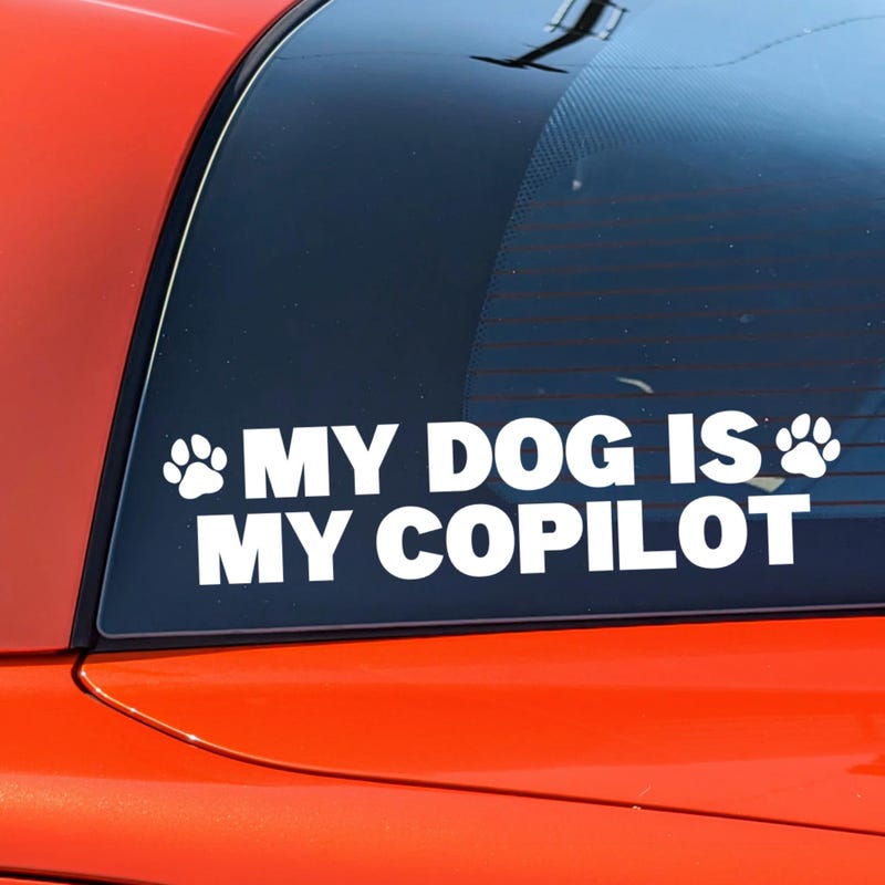 My Dog is My Copilot - Etsy