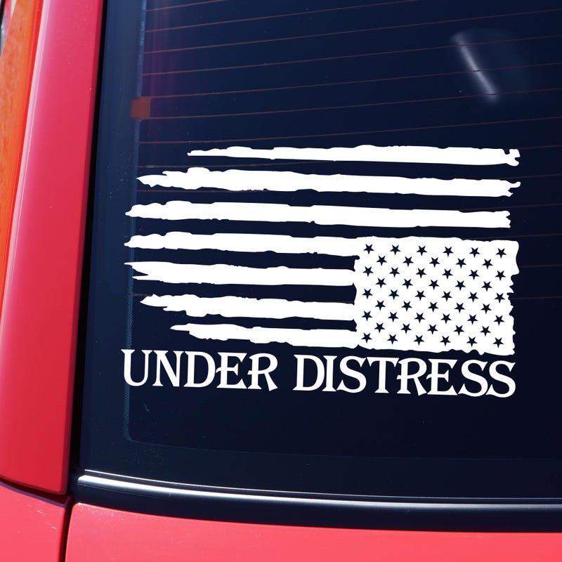 Custom Pink America Flag - Etsy