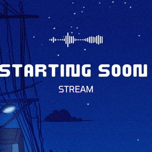 Animated 90s Night Scene Stream Screens: Twitch Overlay (MP4) - Etsy